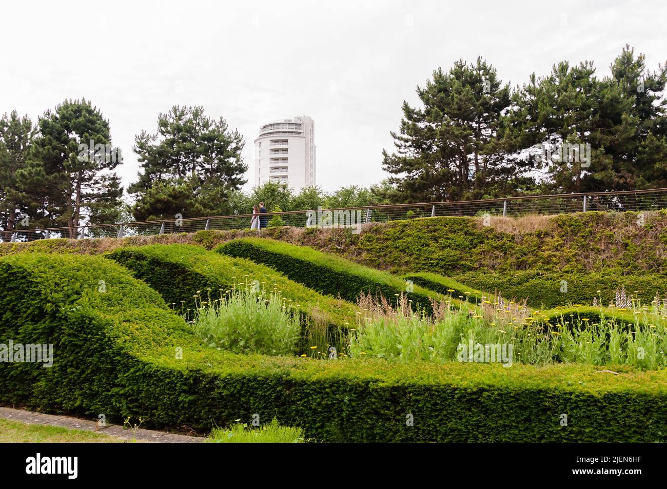 Waves of hedges, Thames Barrier Park, Silvertown, Newham, London ...