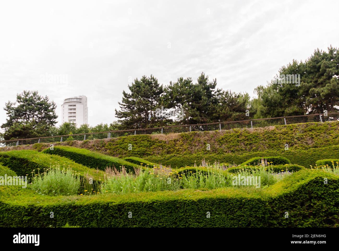 Waves of hedges, Thames Barrier Park, Silvertown, Newham, London ...