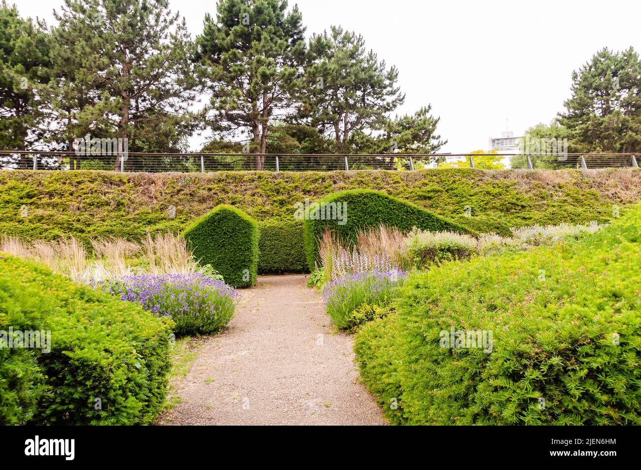 Thames Barrier Park, Silvertown, Newham, London, England, June 19, 2022 ...