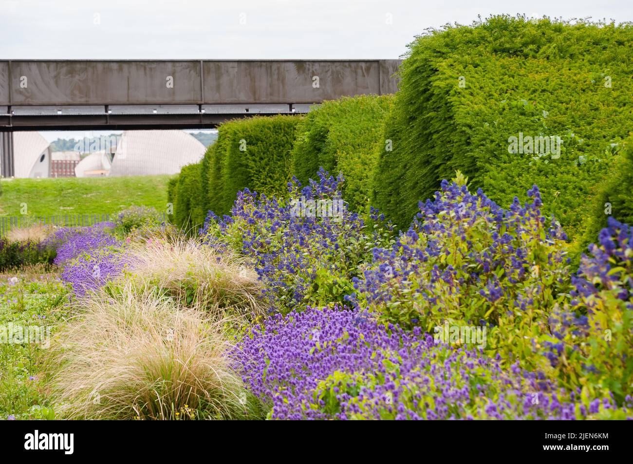 Thames Barrier Park, Silvertown, Newham, London, England, June 19, 2022 ...