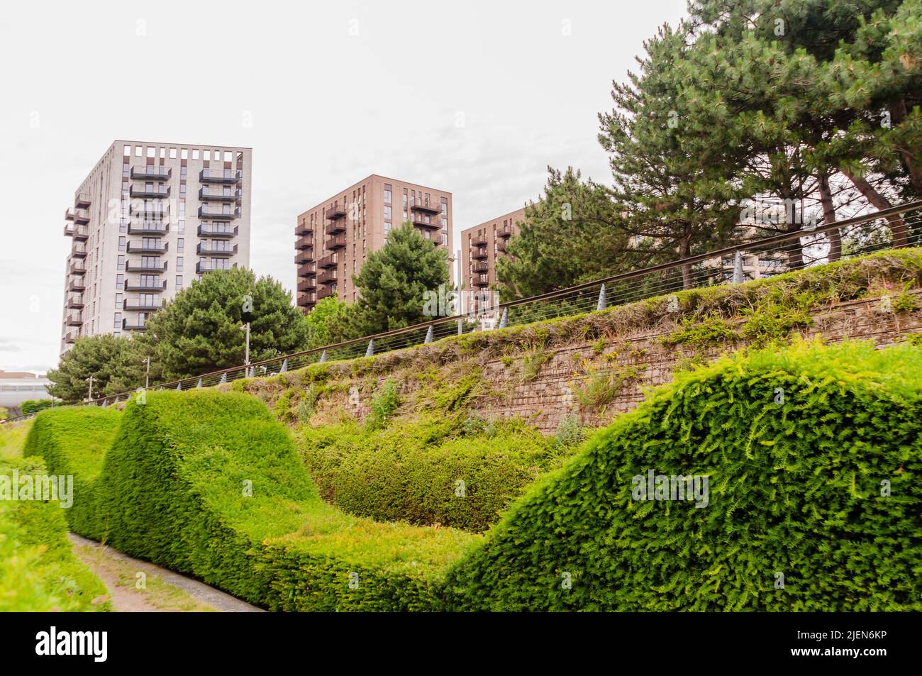 Waves of hedges, Thames Barrier Park, Silvertown, Newham, London ...