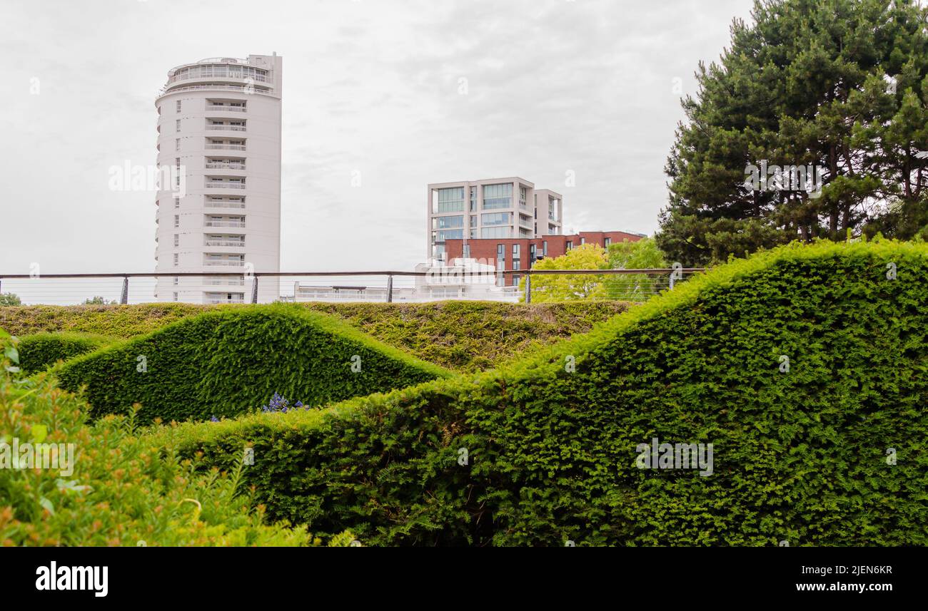 Waves of hedges, Thames Barrier Park, Silvertown, Newham, London ...
