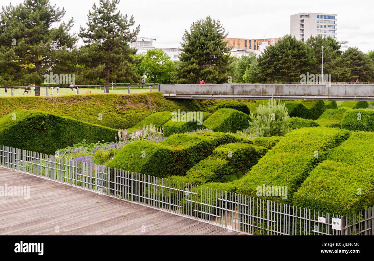 Waves of hedges, Thames Barrier Park, Silvertown, Newham, London ...