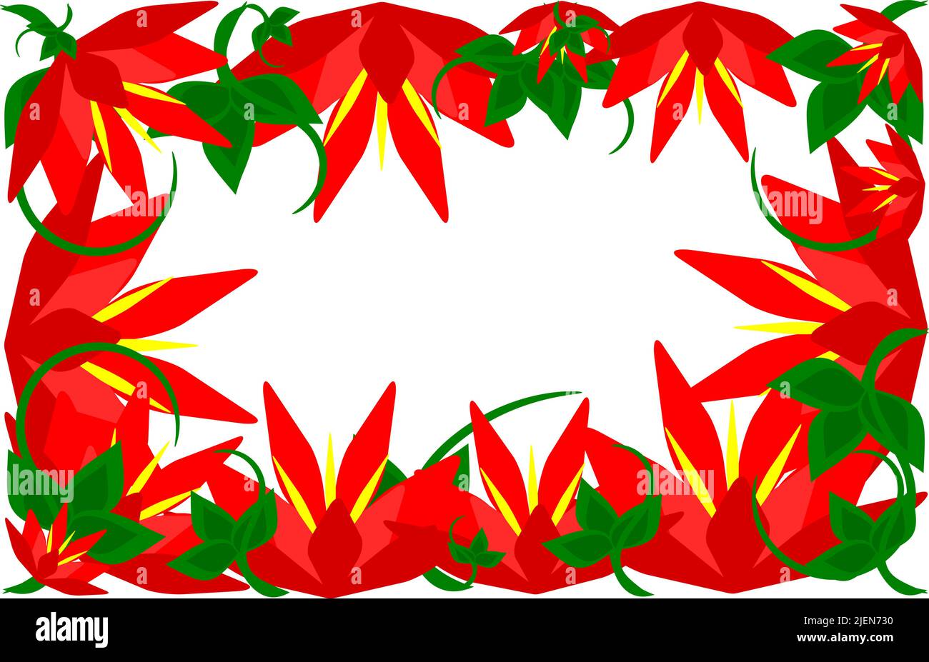 Hibiscus flower branch on Stock Vector Images - Alamy