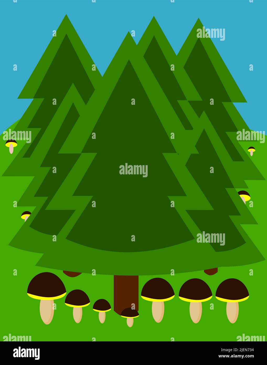 Temperate coniferous forest with growing mushrooms Stock Vector Image ... Temperate coniferous forest with growing mushrooms Stock Vector Image ...