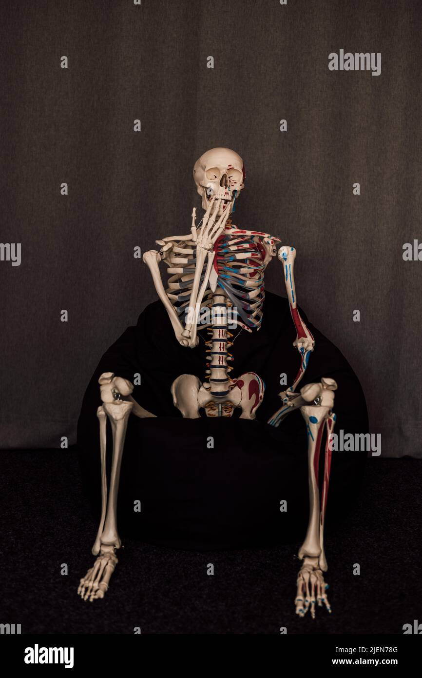Skeleton sitting chair hi-res stock photography and images - Alamy