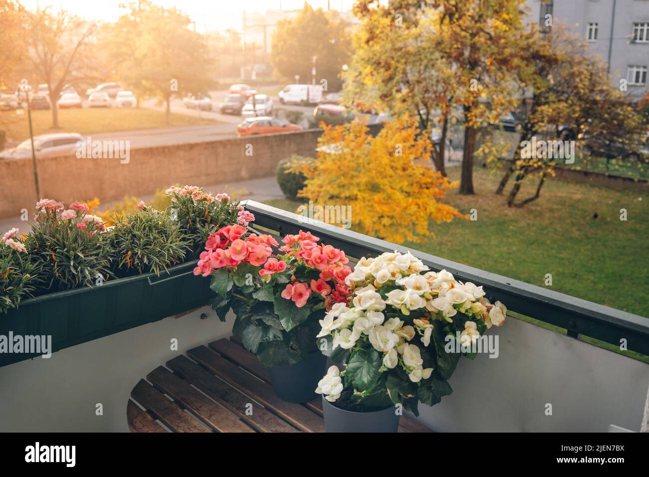 Balcony view on Autumn garden with golden trees. Nature background ...
