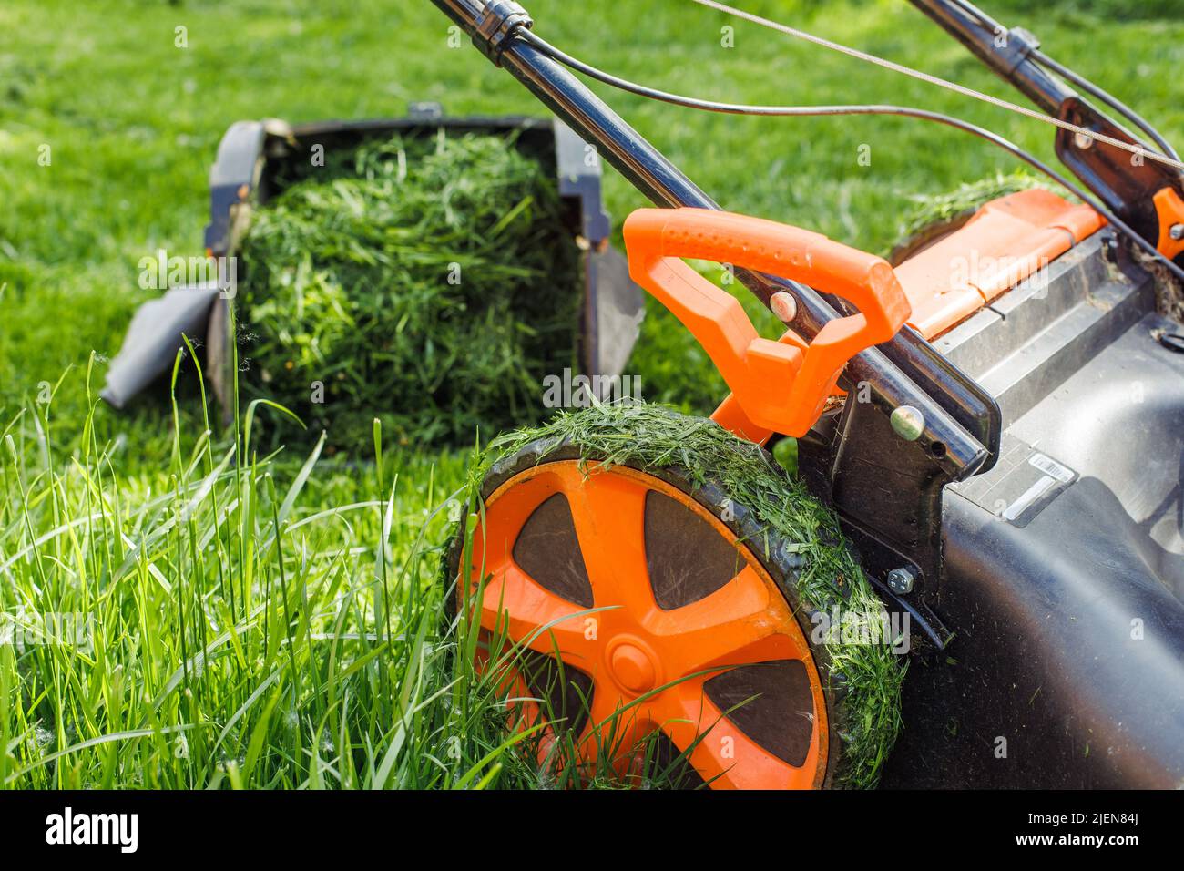 Close up lawn mower or grass cutter mowing fresh grass in garden. Cut ...