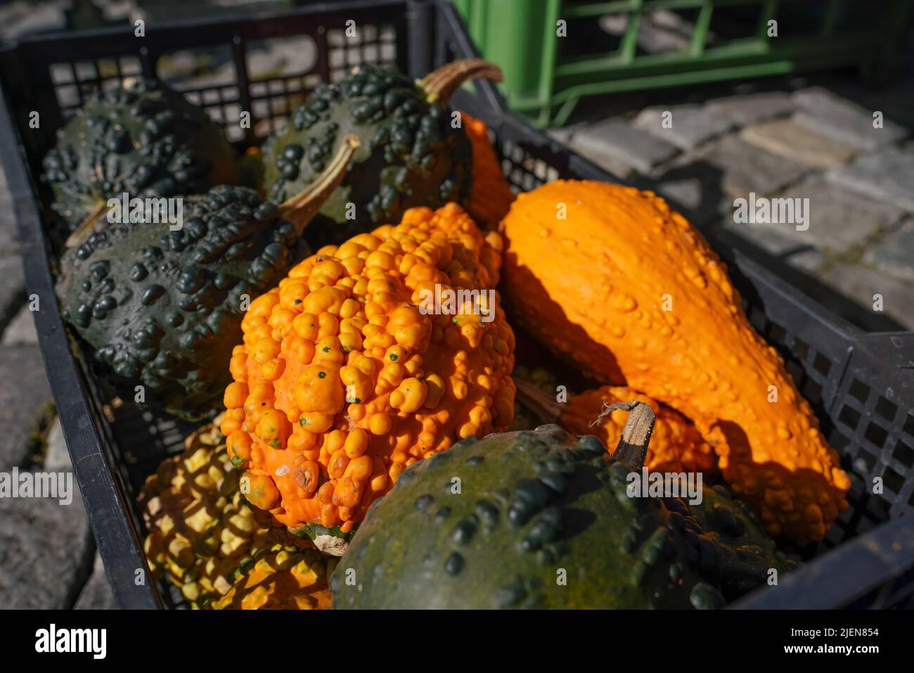Distorted deformed hi-res stock photography and images - Alamy