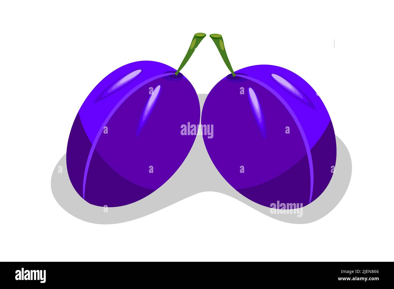 Two ripe purple delicious plums vector illustration Stock Vector Image ...