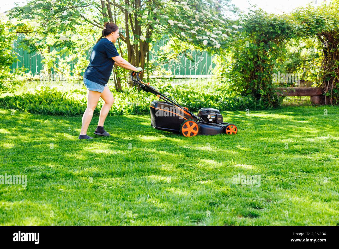 Dark-haired female gardener in casual clothes using lawn mower to cut ...