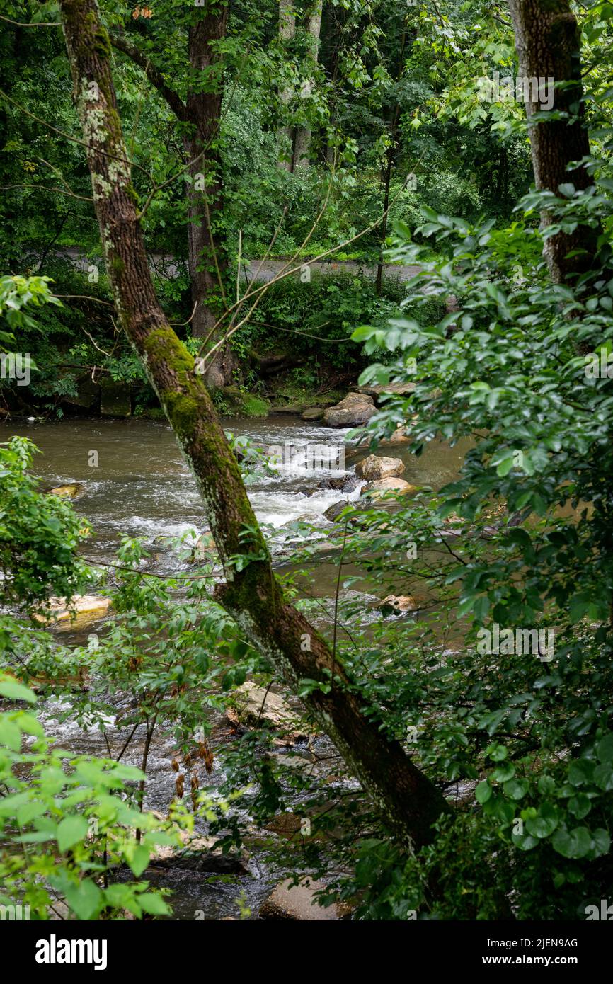 Gentle flowing river hi-res stock photography and images - Alamy