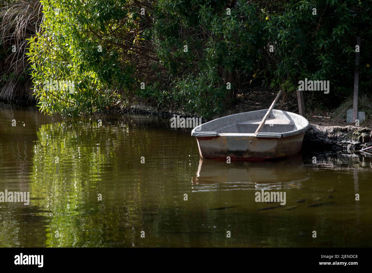 Rowboat riverside hi-res stock photography and images - Alamy