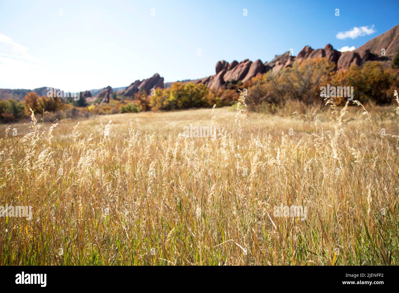 Roxborough State Park in Colorado during fall Stock Photo - Alamy