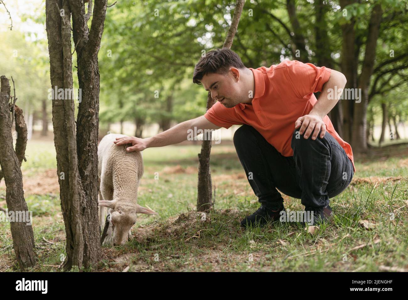 Tree Man Cured Pictures