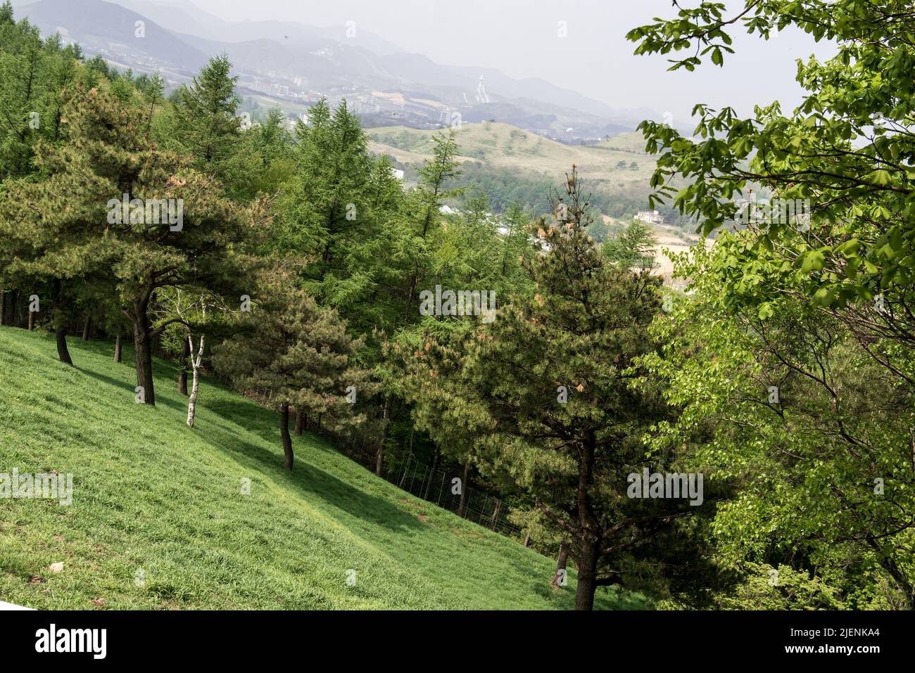 Green pastures of sheep ranch landscape at early summer background blue ...