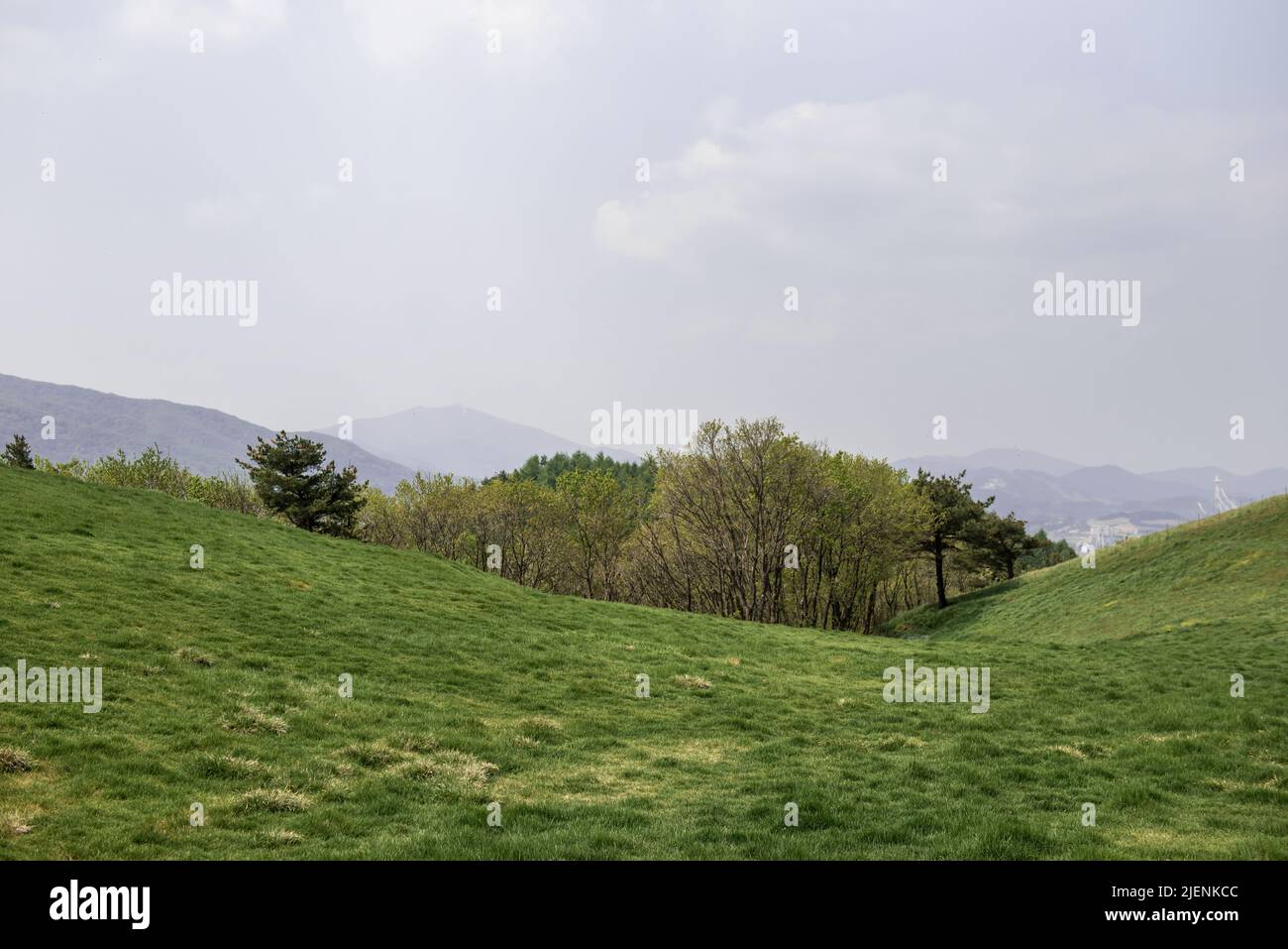 Green pastures of sheep ranch landscape at early summer background blue ...