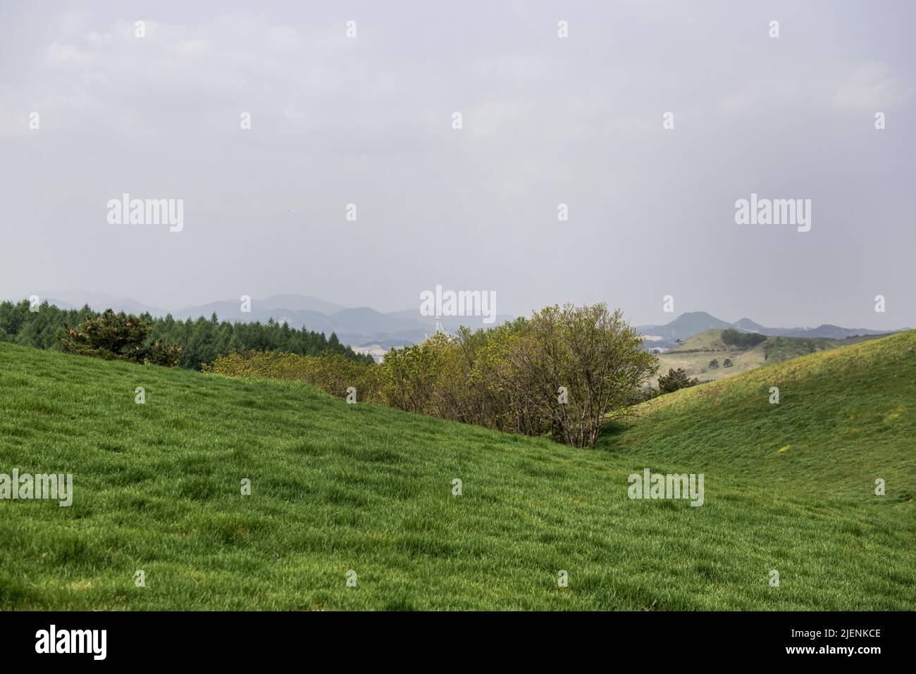 Green pastures of sheep ranch landscape at early summer background blue ...