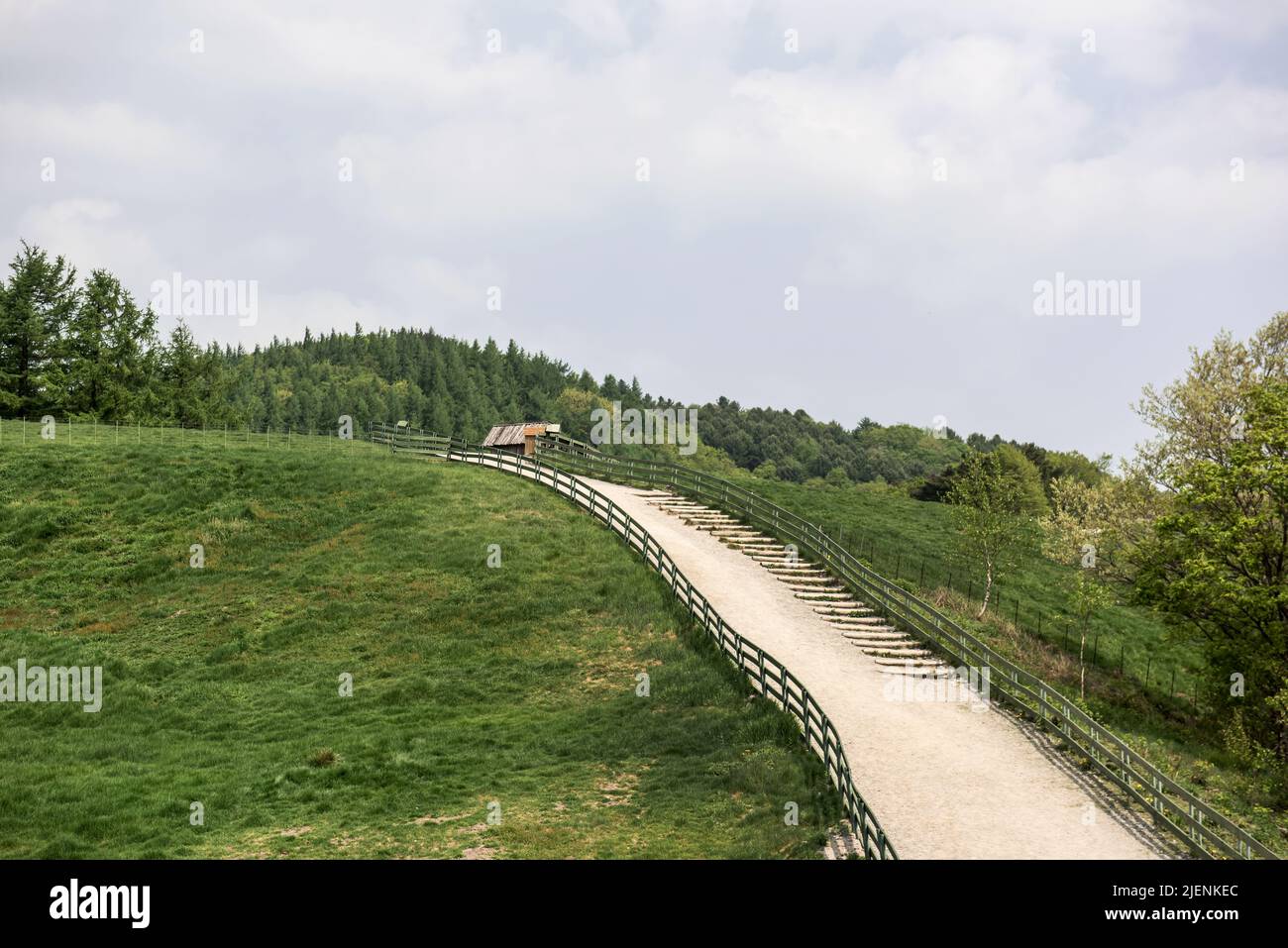 Green pastures of sheep ranch landscape at early summer background blue ...