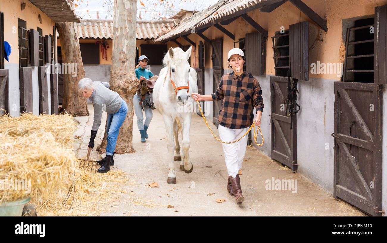 Stable courtyard - horse walking and tidying up on day Stock Photo - Alamy