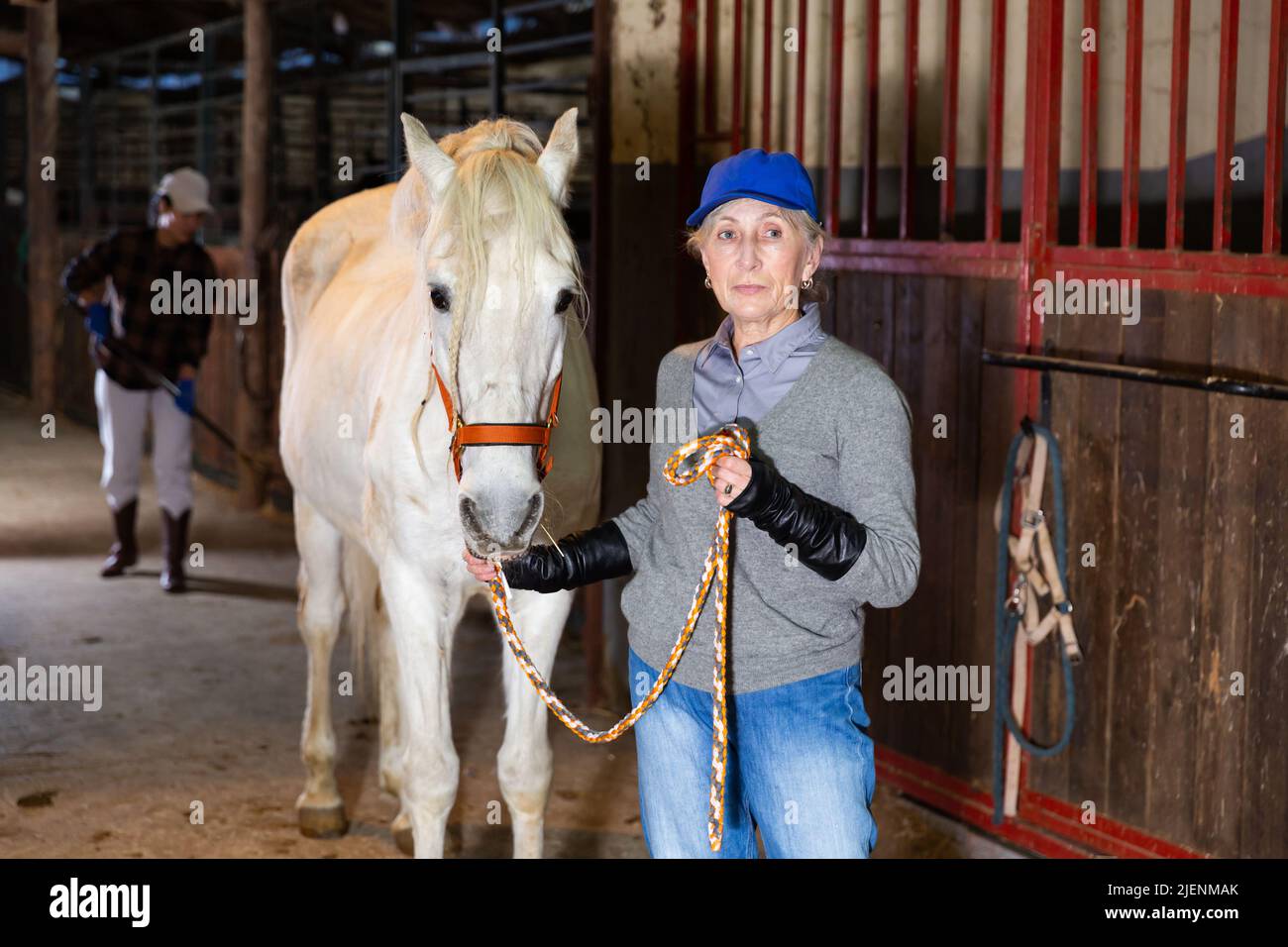 Aged female stable worker leading white horse by bridle in barn Stock ...