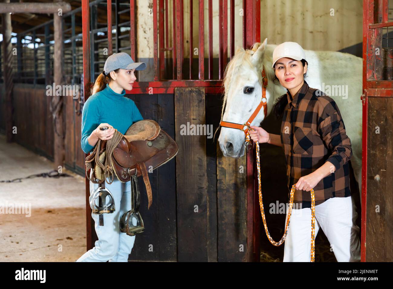 Young girl stable worker ready to saddle horse while Asian woman ...
