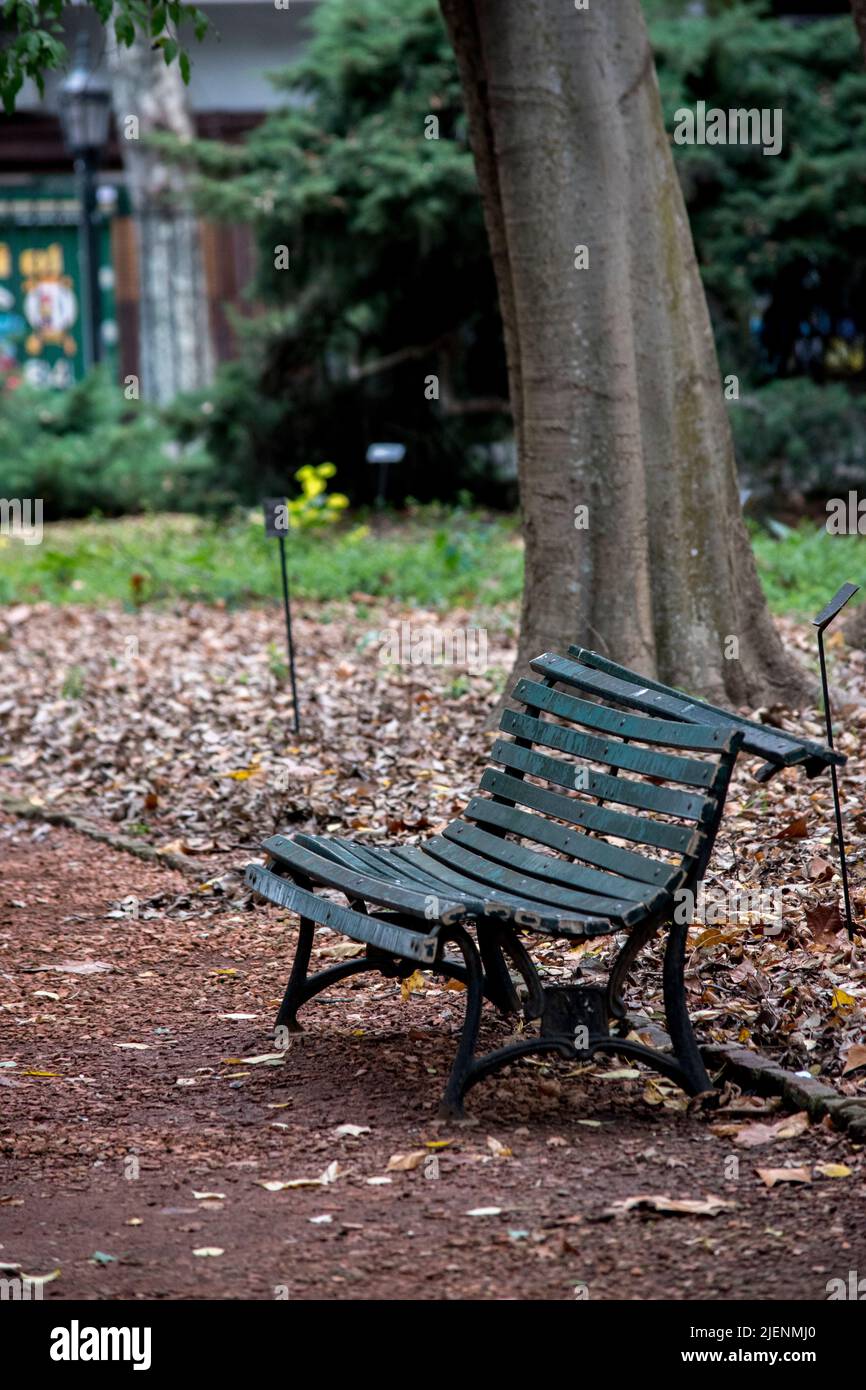 Wooden bench under shade hi-res stock photography and images - Alamy
