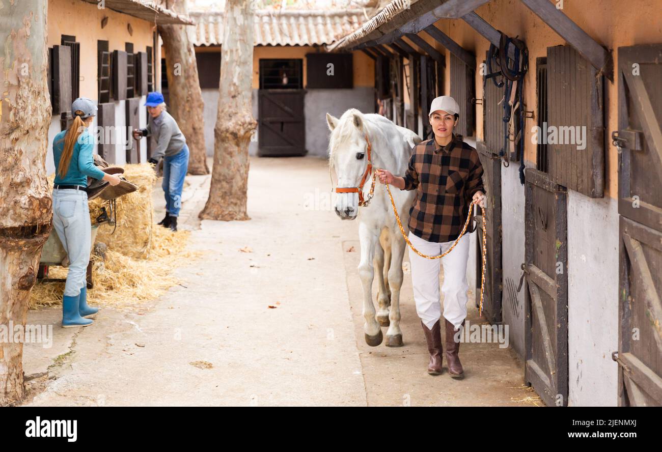 Backyard of the stables on typical day - horse walking Stock Photo - Alamy