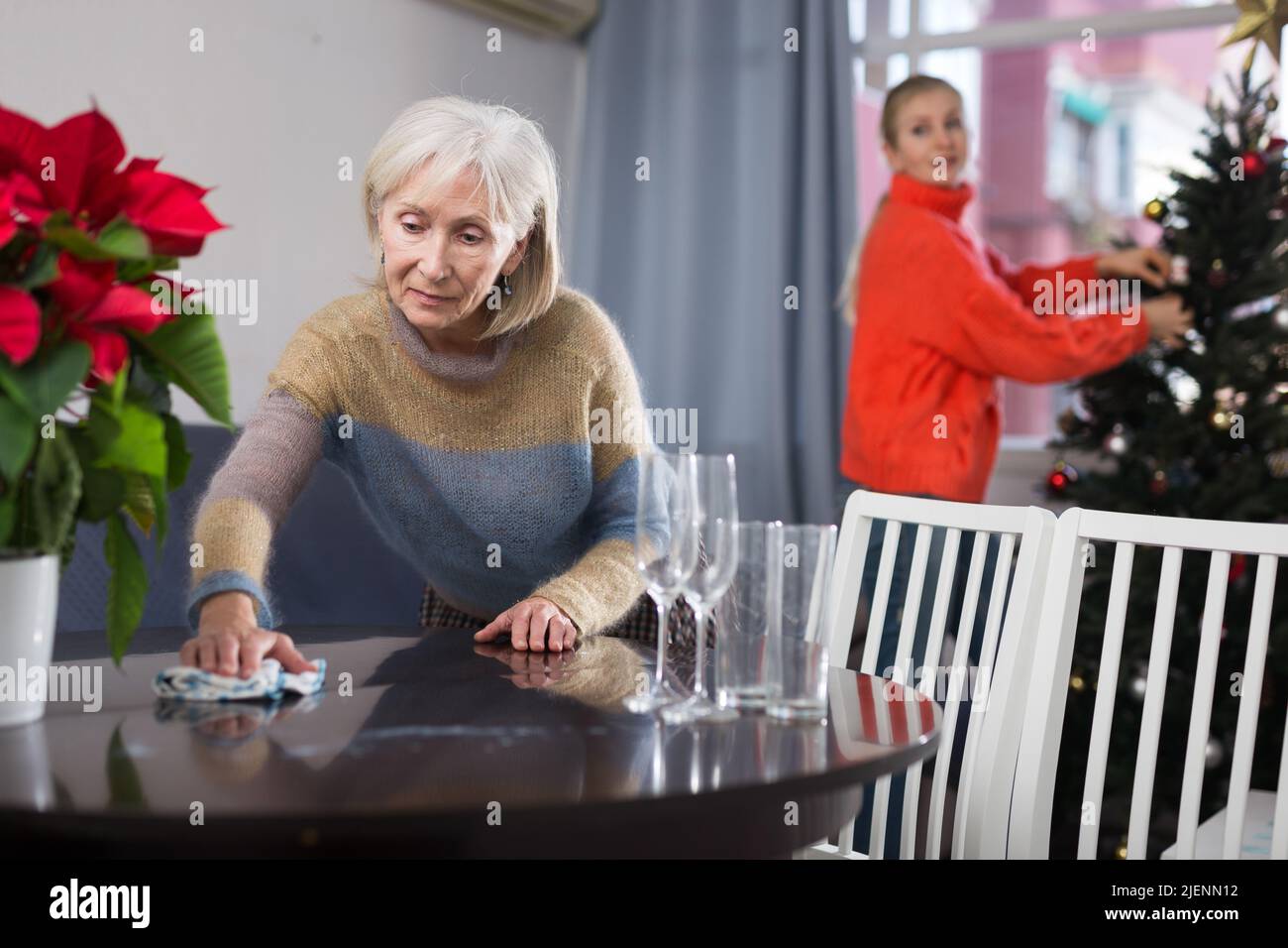 Mature woman and her adult daughter clean the flat before Christmas ...