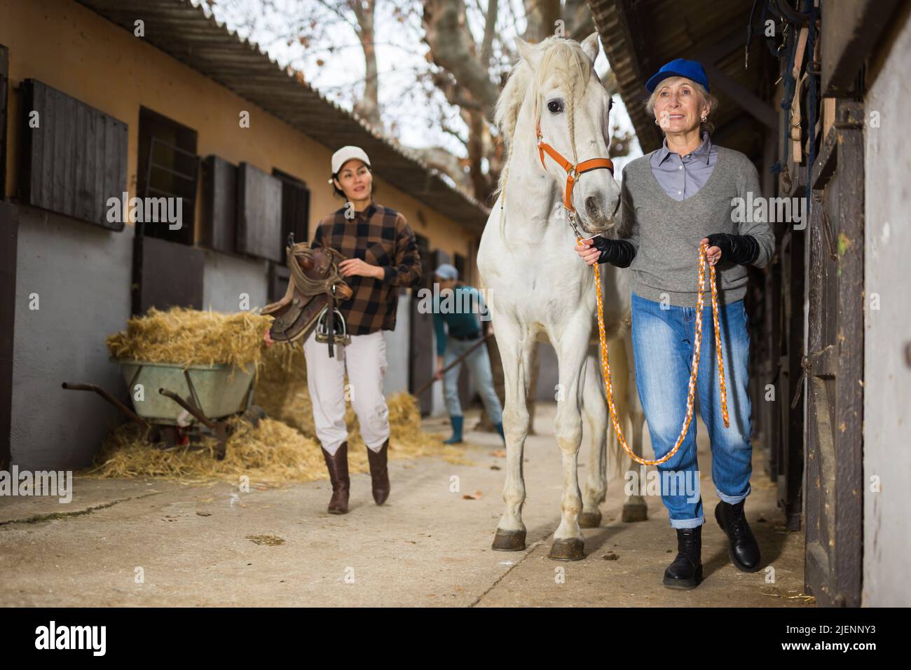 Backyard of the stables on typical autumn day - horse walking and ...