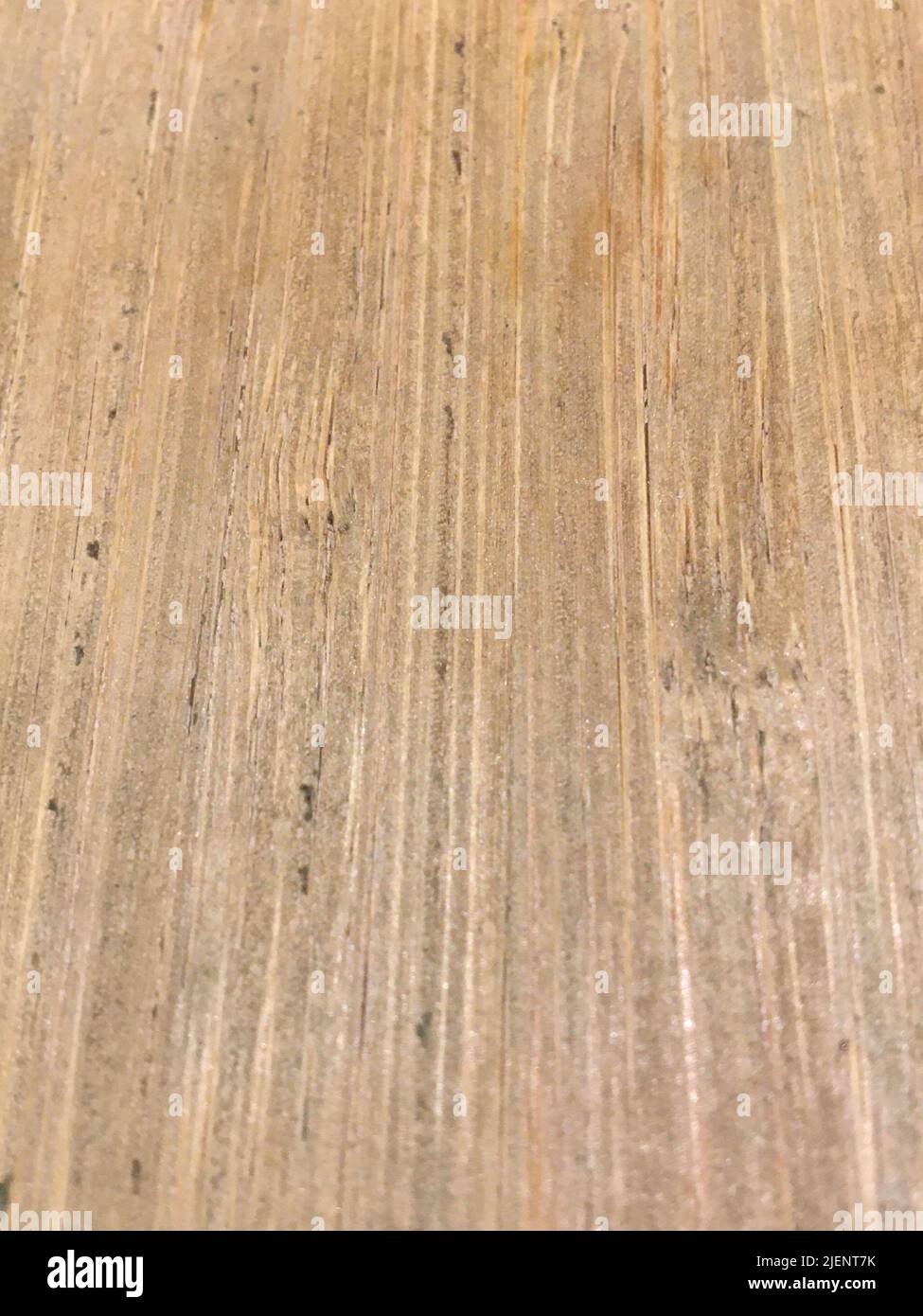 texture of a wooden plate Stock Photo - Alamy