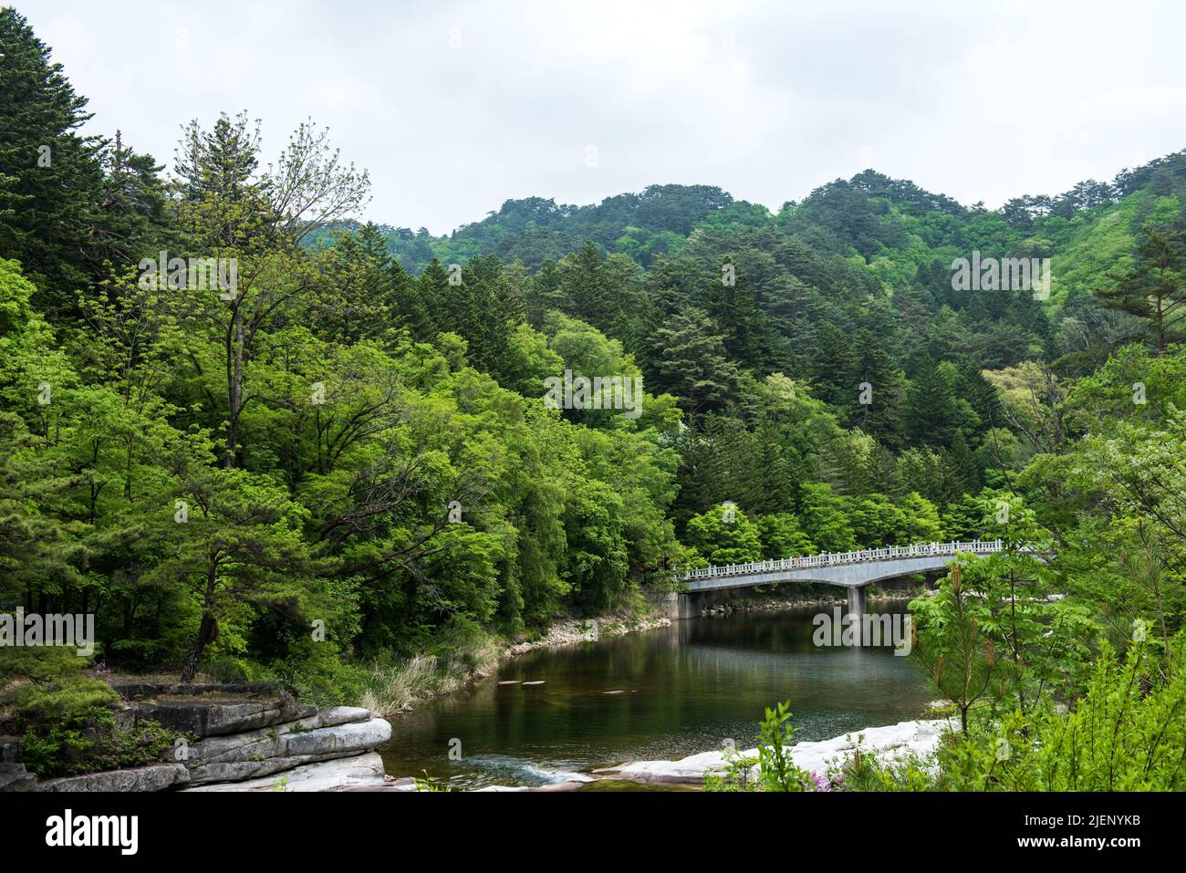 The scenic view of green deep woods valley landscape with ston bridge ...