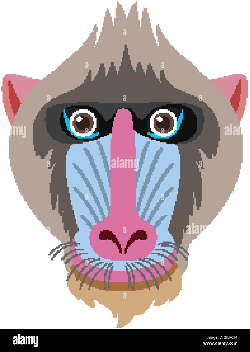 Mandrill head in flat style illustration Stock Vector Image & Art - Alamy