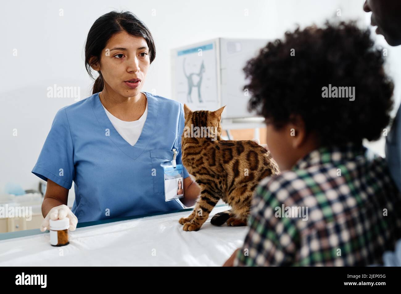 Selective focus of modern Hispanic woman working in vet clinic ...