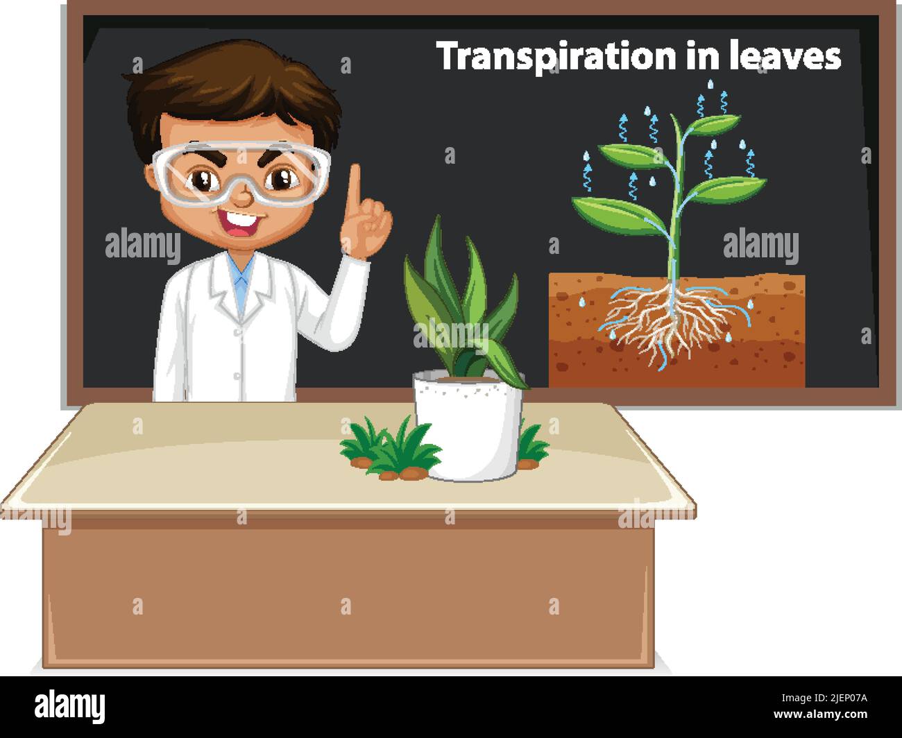 Transpiration Experiment For Kids