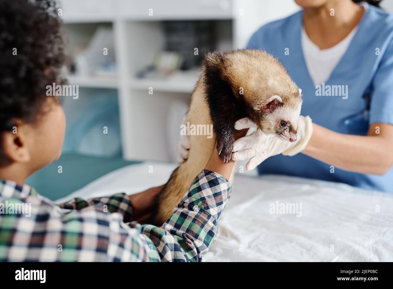 Boy in vet uniform hi-res stock photography and images - Alamy