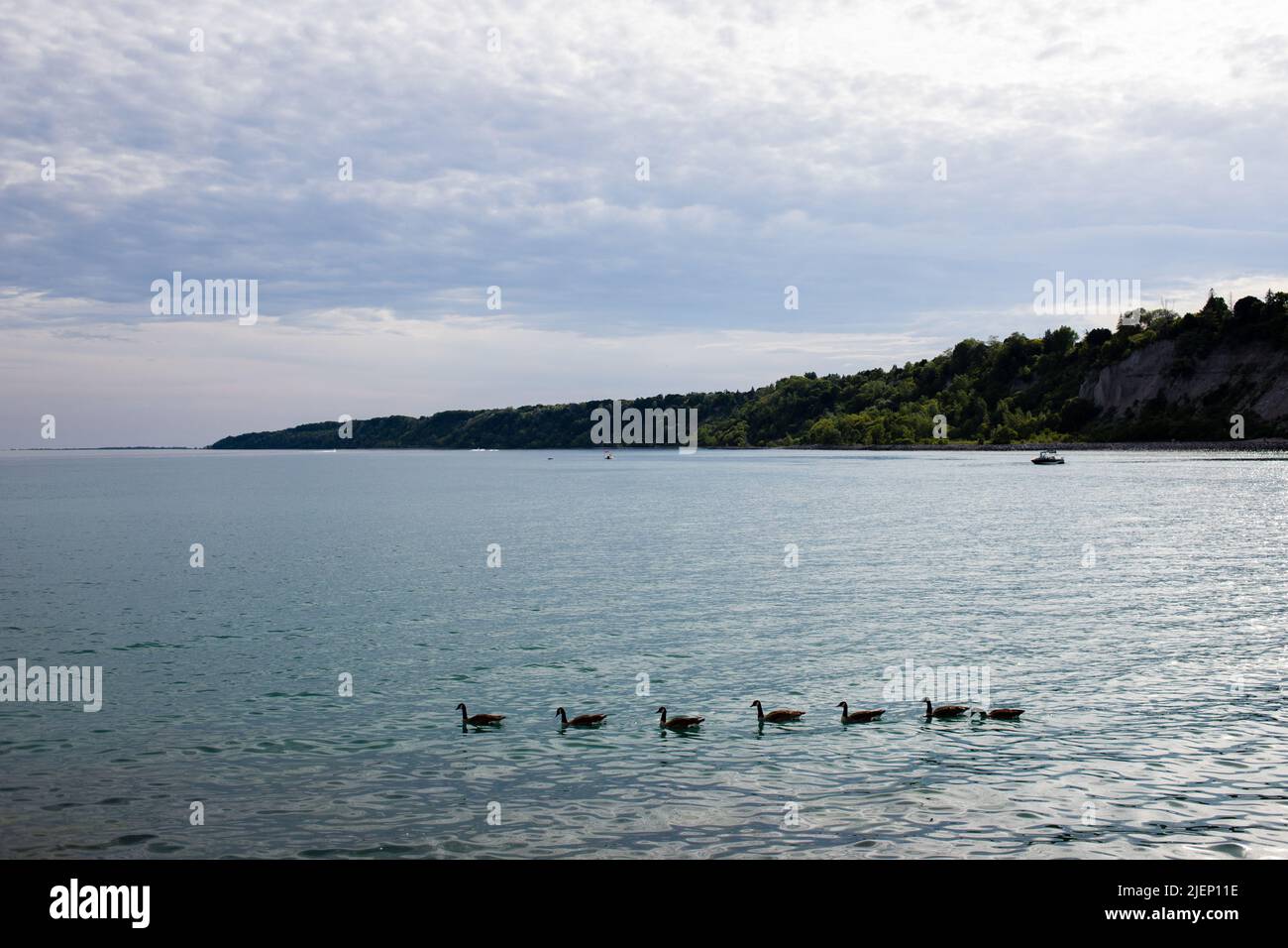 Travel scenes from Toronto, Ontario, Canada Stock Photo - Alamy