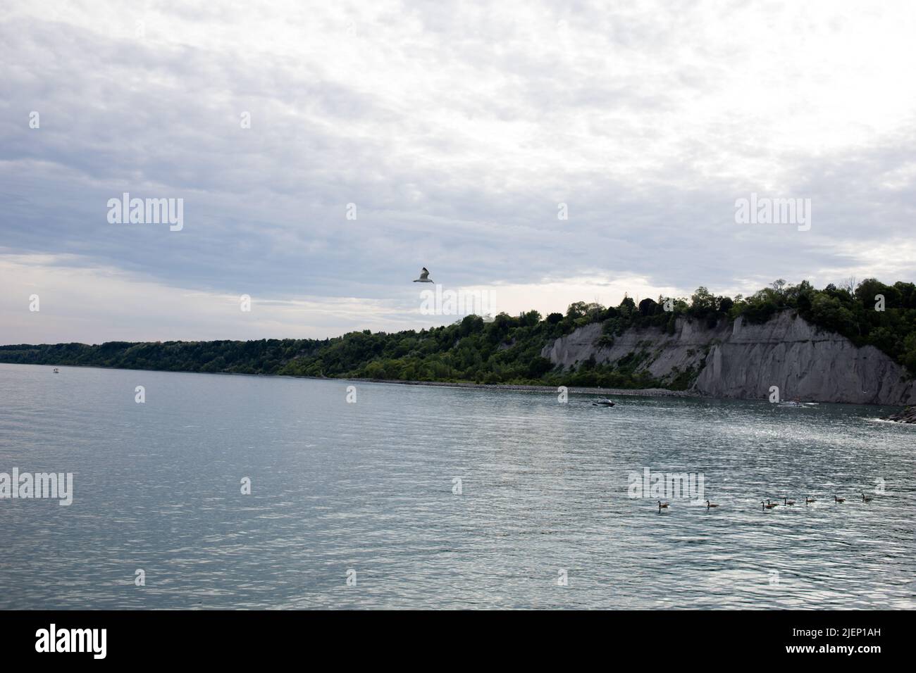 Travel scenes from Toronto, Ontario, Canada Stock Photo - Alamy