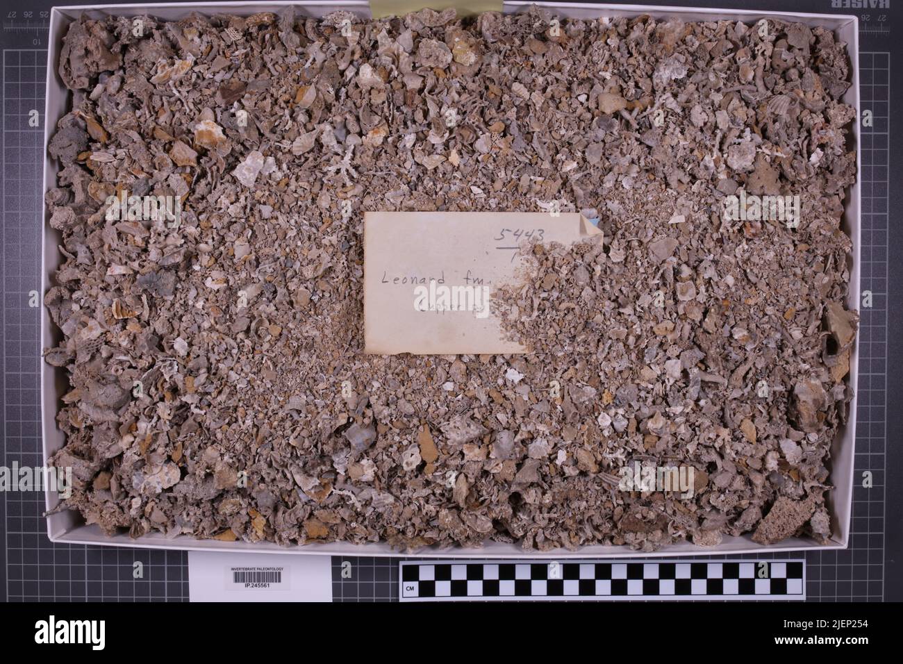 Stratigraphic sequence hi-res stock photography and images - Alamy