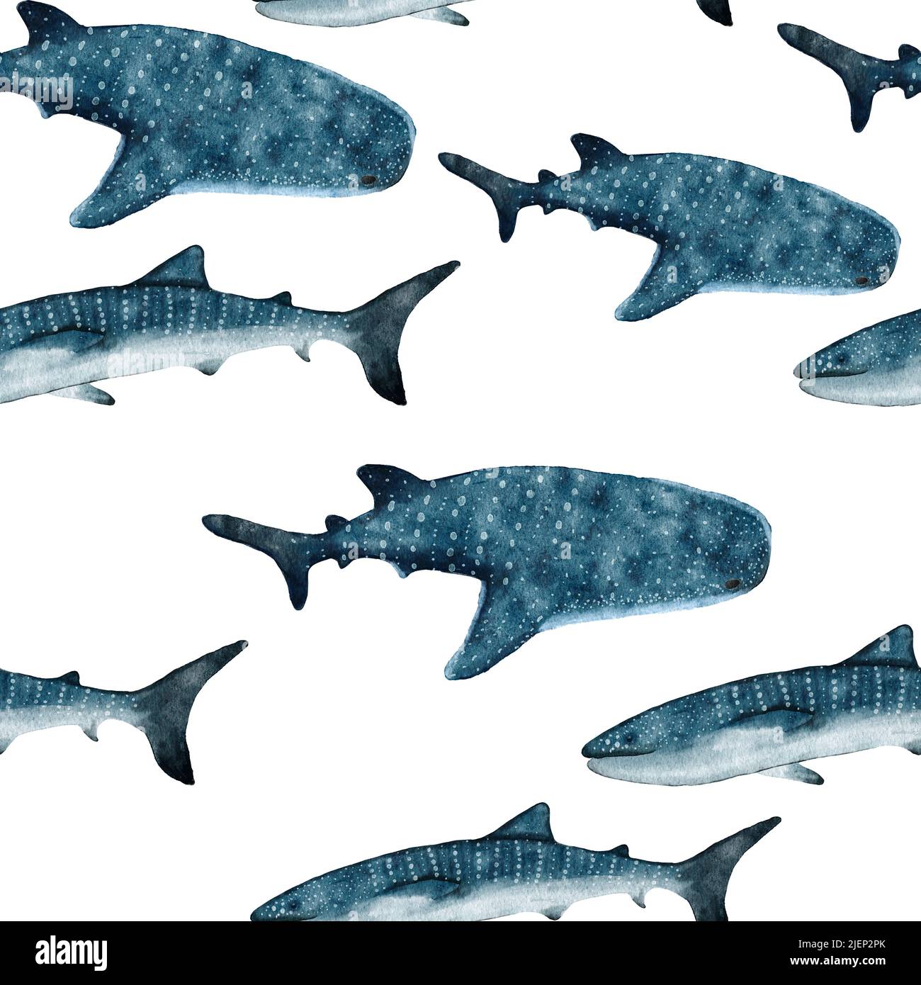Hand drawn watercolor seamless pattern with whale shark. Sea ocean ...