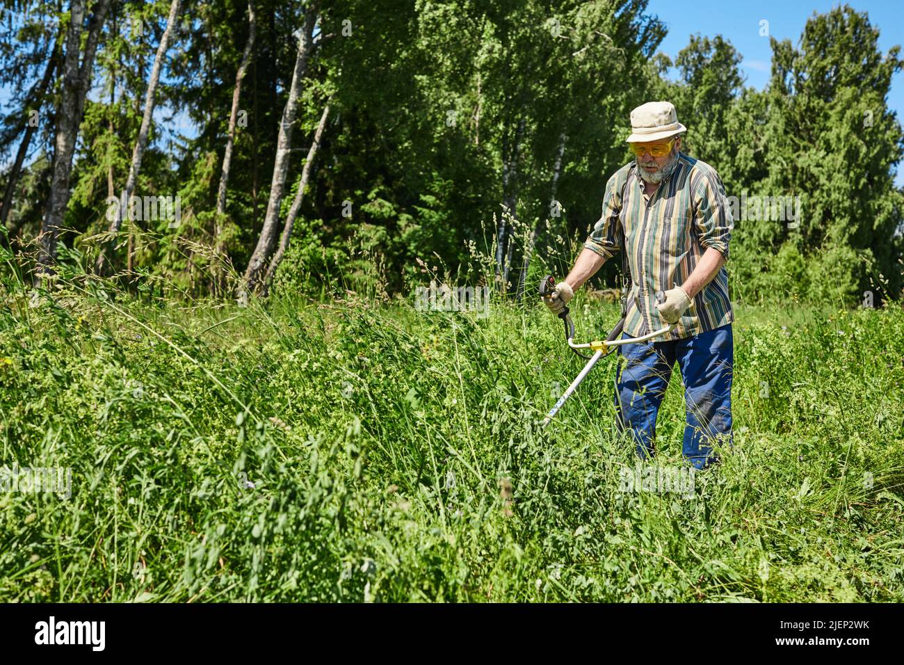 A man mows the grass in the field with a trimmer. Yard care concept ...