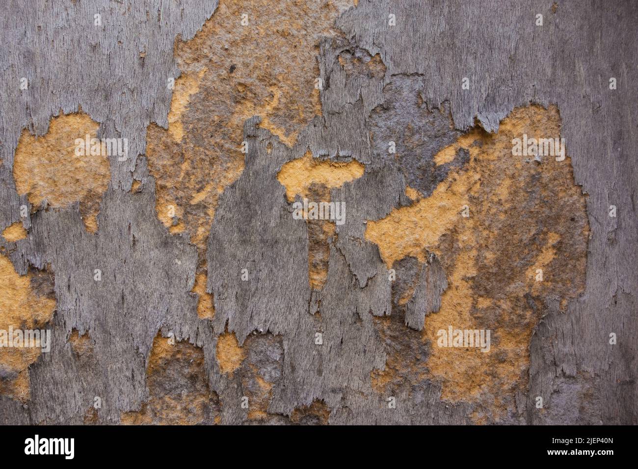 damaged and peeling wooden board with flaking paint Stock Photo - Alamy