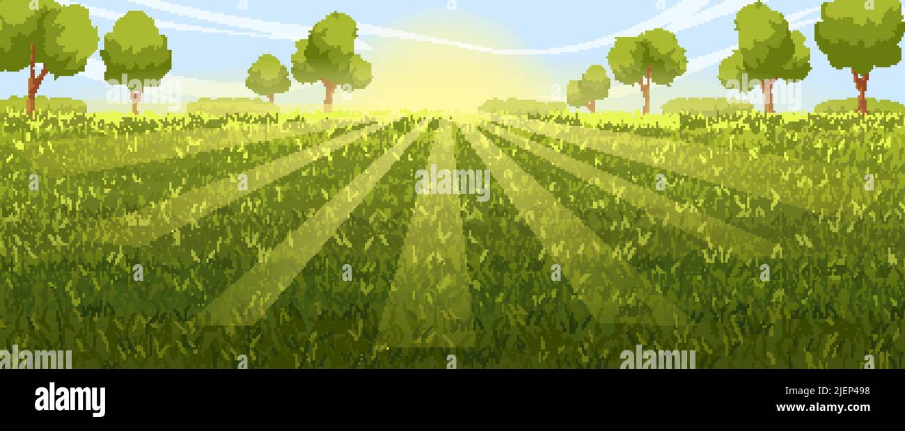 lawn background landscape vector Stock Vector Image & Art - Alamy