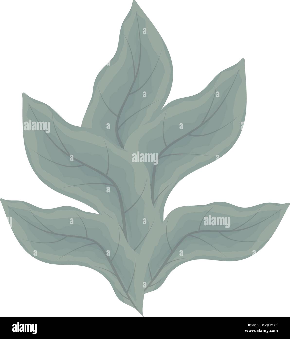 leaves foliage icon Stock Vector Image & Art - Alamy