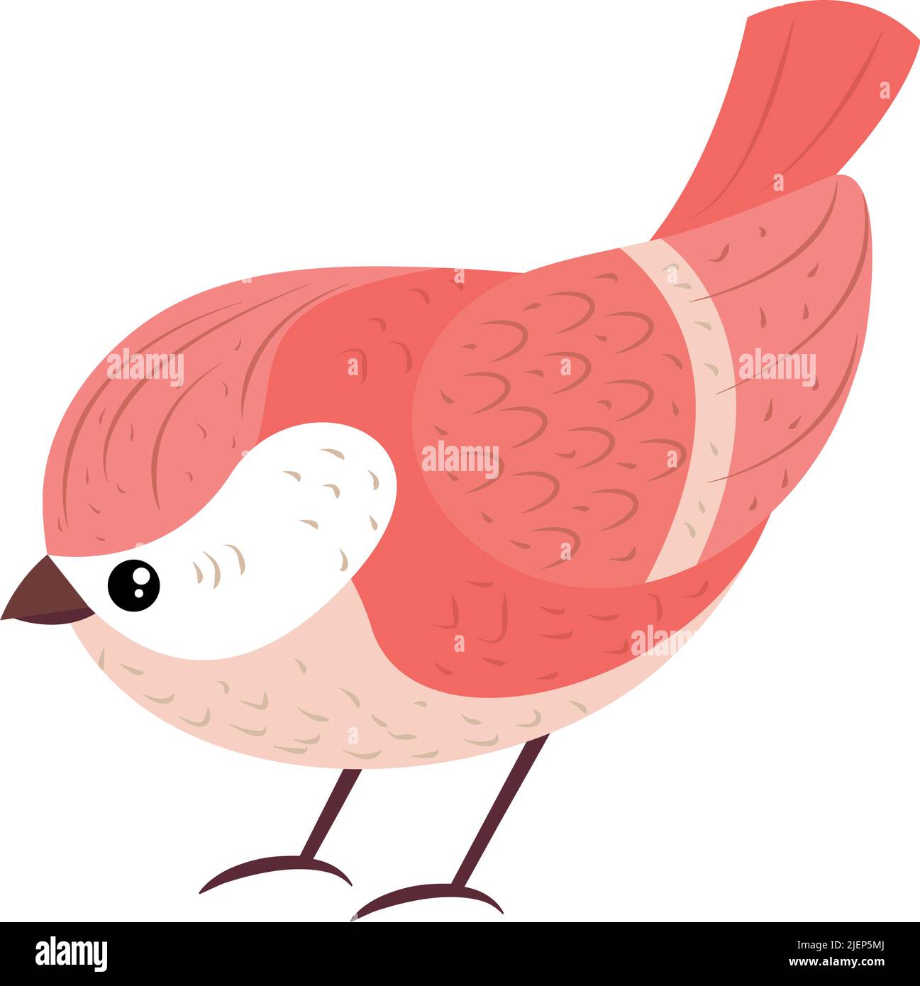 bird animal cartoon Stock Vector Image & Art - Alamy