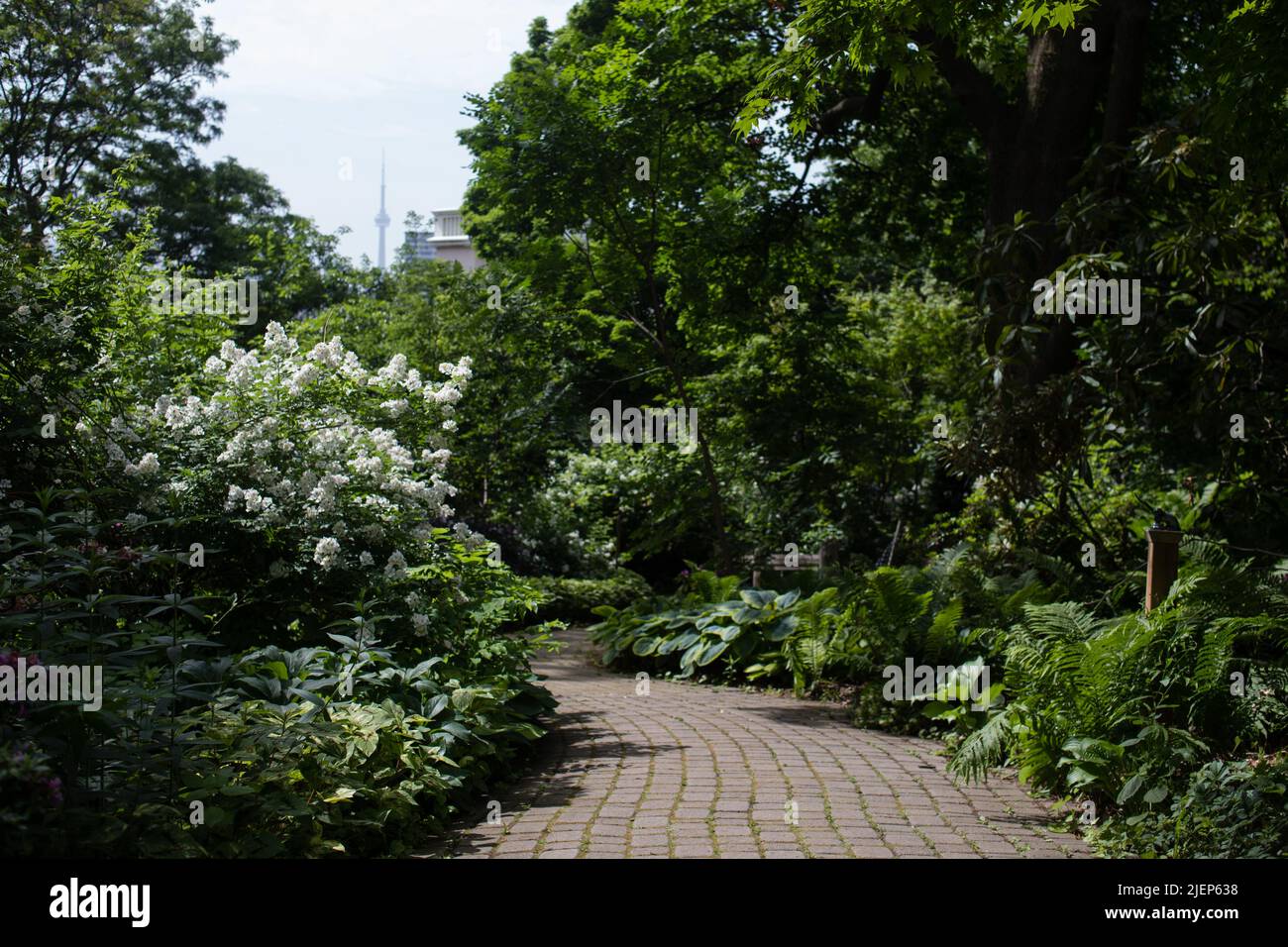 Travel scenes from Toronto, Ontario, Canada Stock Photo - Alamy