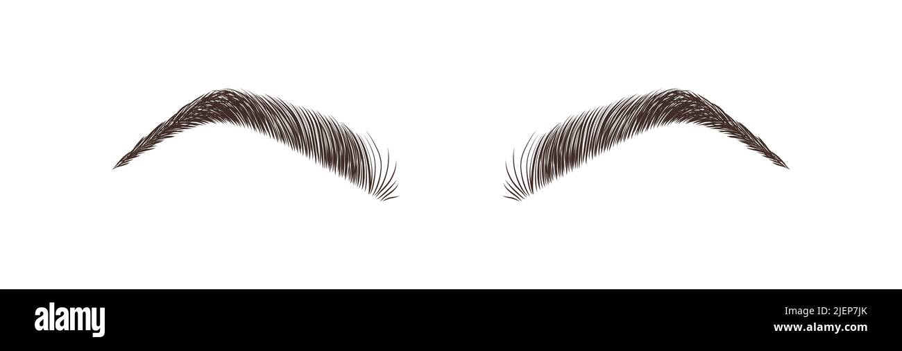 Realistic eyebrows on white background. Permanent make-up and ...