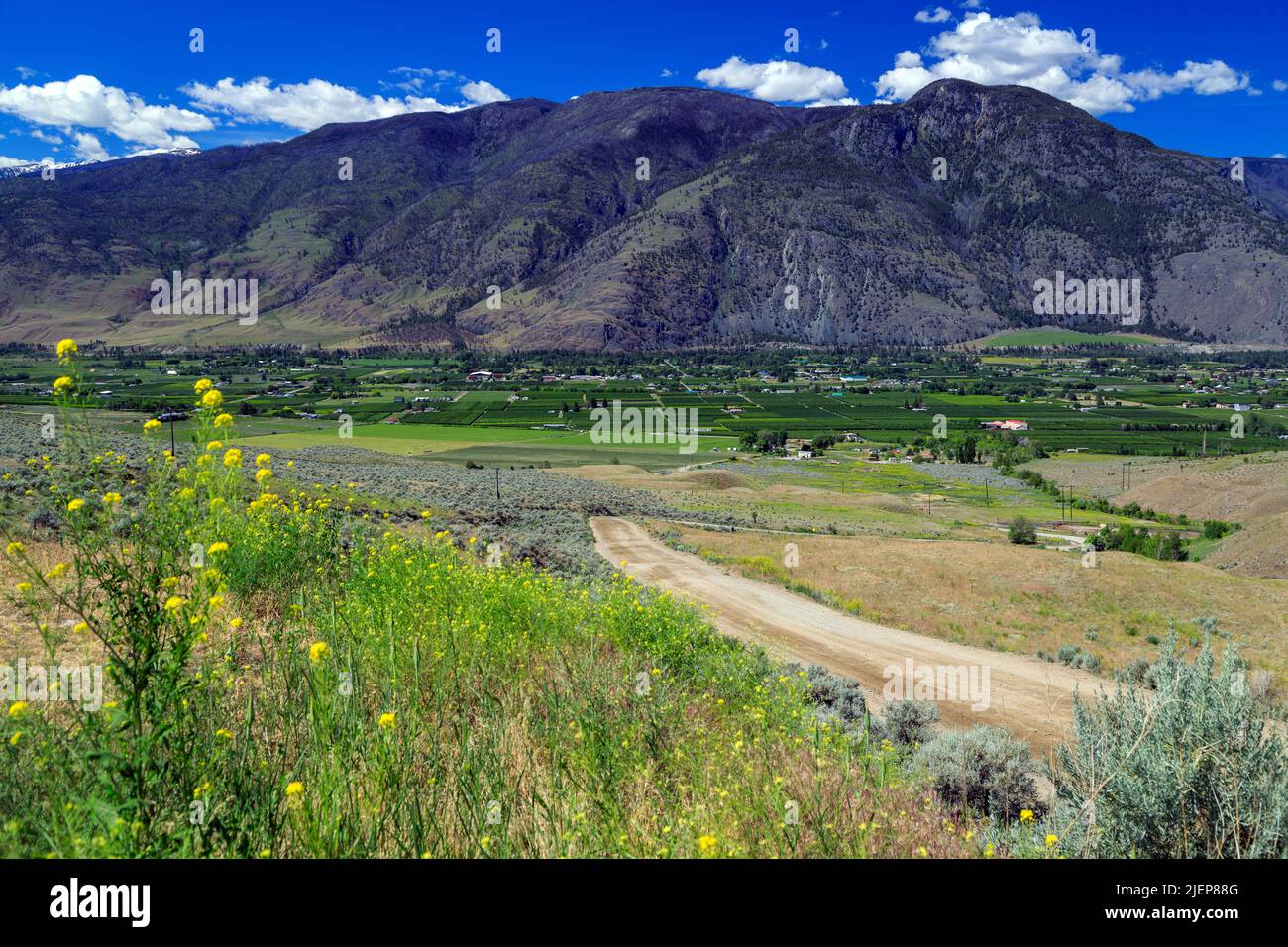 Canadian landscape of agrucultural fields, orchards, and a country road ...