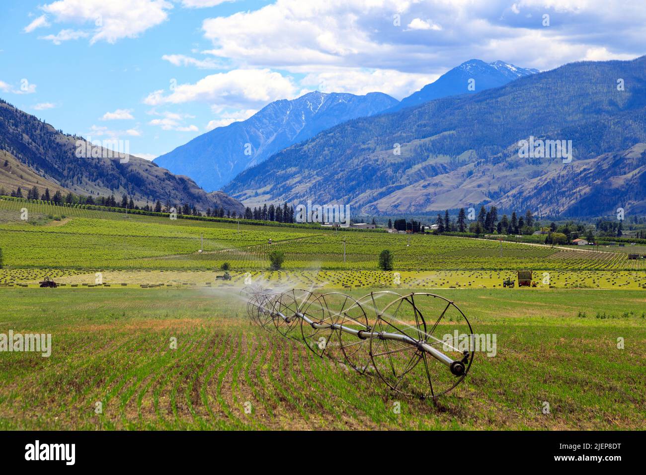 Wheel line sprinkler irrigation system in Cawston, British Columbia ...