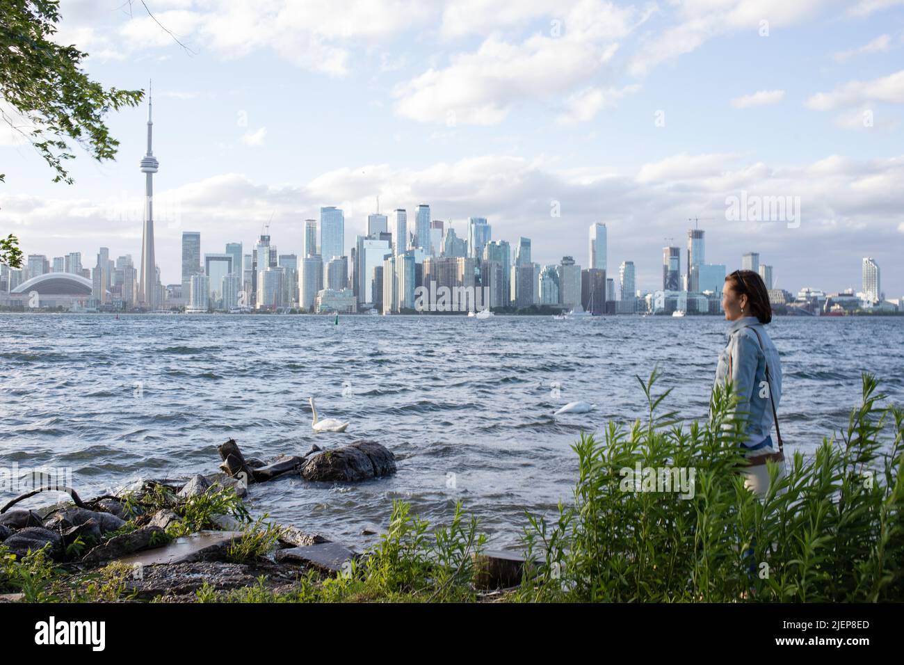 Travel scenes from Toronto, Ontario, Canada Stock Photo - Alamy